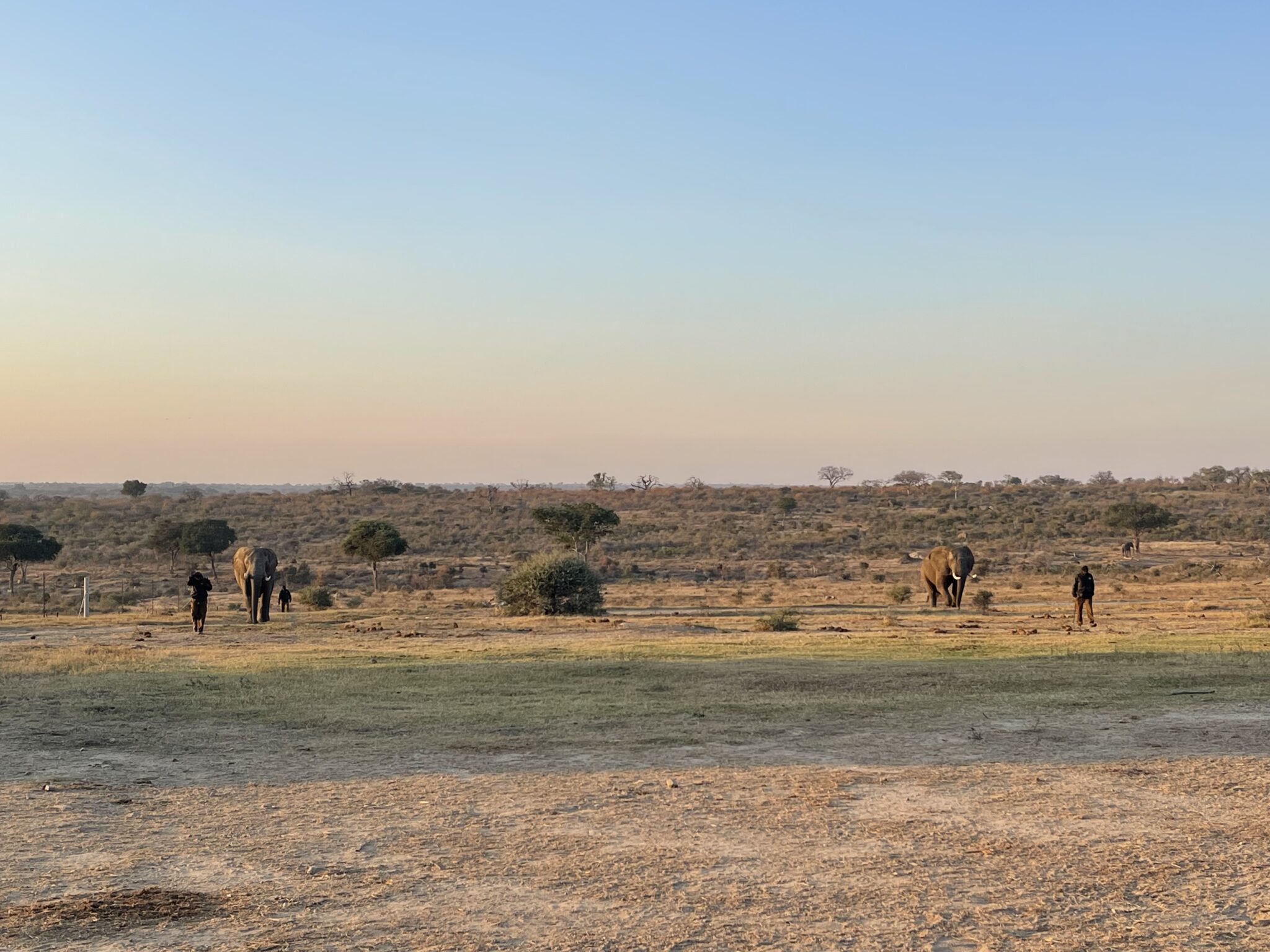 Kruger National Park & Hoedspruit - Aspen Real Life